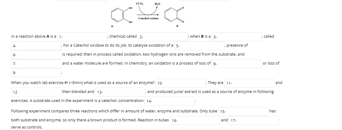 Solved 1/2 0 HO OH Catechol oxidase OH In a reaction above A | Chegg.com