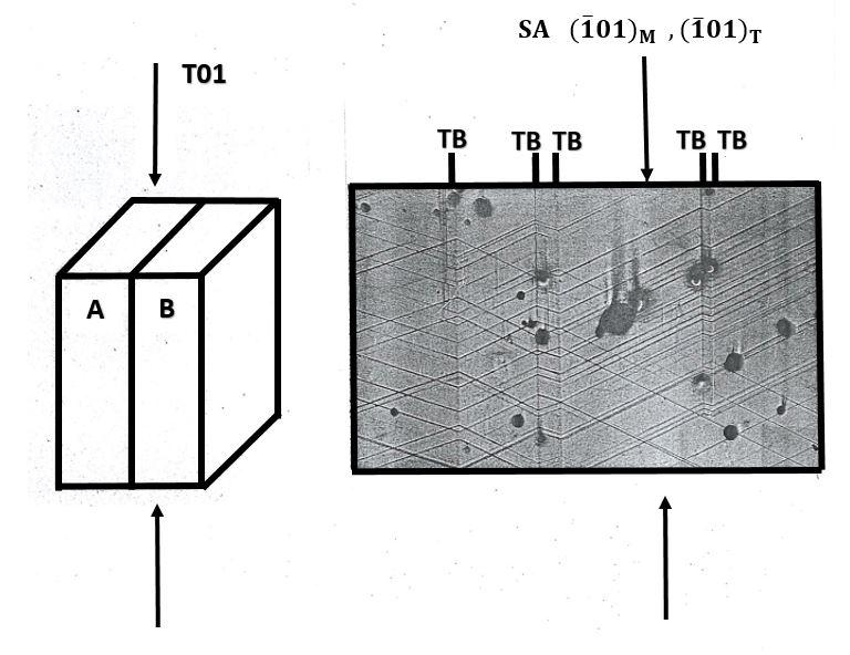 Solved Twin specimen of alpha brass – Cu-70%Zn – is formed | Chegg.com
