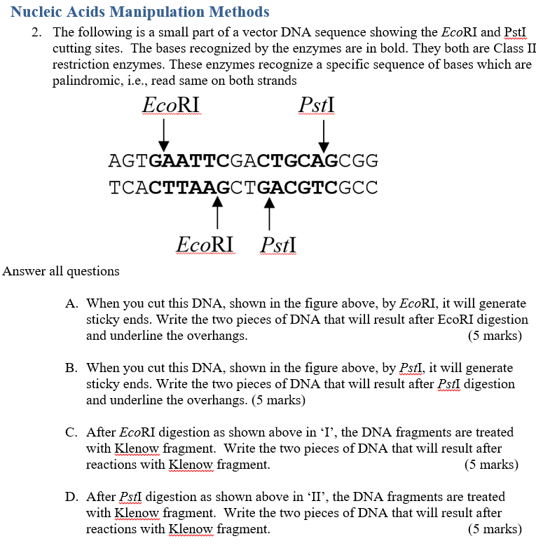 Solved Nucleic Acids Manipulation Methods The following is a | Chegg.com