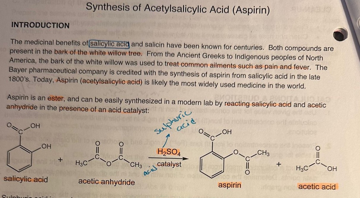 Solved synthesized acetylsalicylic acid (aspirin)can you | Chegg.com