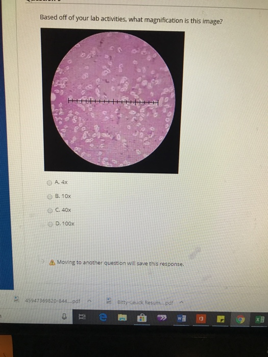 Solved Based off of your lab activities, what magnification | Chegg.com