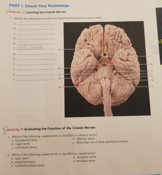 PART I. Check Your Knowledge Activity 1: Learning the | Chegg.com