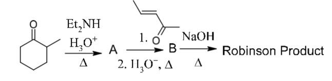 Solved Et2NH H3O+ H3O−,Δ OO NaOH Robinson Product | Chegg.com