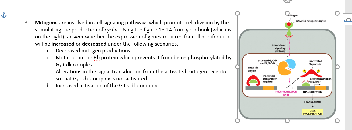 Solved i mitogen activated mitogen receptor 3. intracellular | Chegg.com