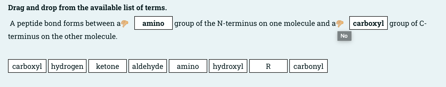 Solved Drag and drop from the available list of terms. A | Chegg.com