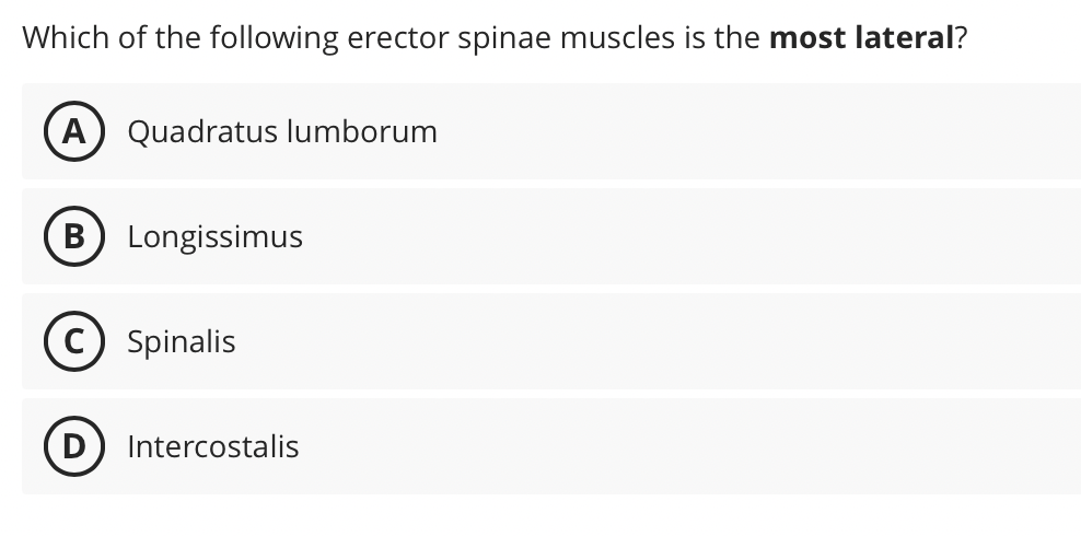 Solved Which of the following erector spinae muscles is the | Chegg.com