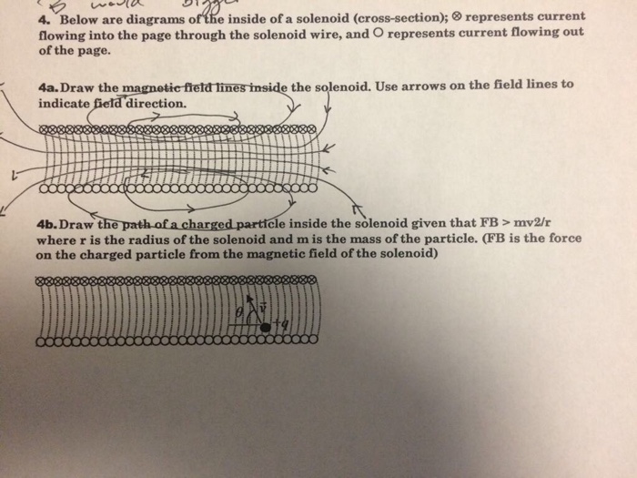 Solved Below are diagrams of the inside of a solenoid | Chegg.com