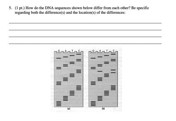 Solved 5. (1 pt.) How do the DNA sequences shown below | Chegg.com