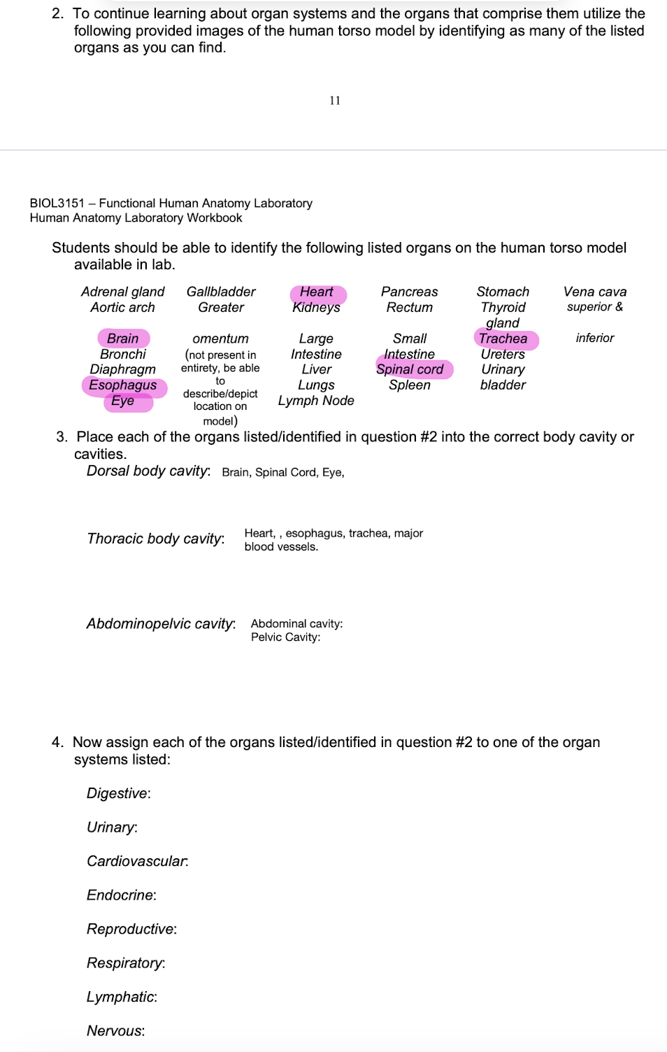 Solved 2. To continue learning about organ systems and the | Chegg.com