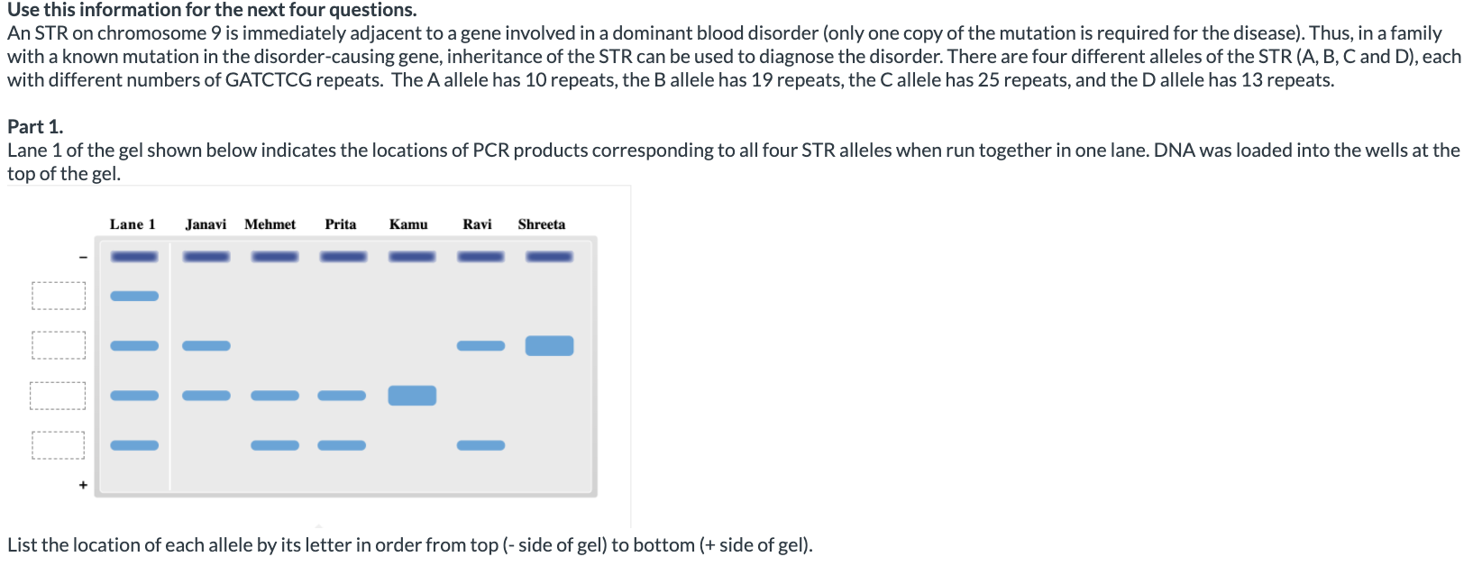 Solved Use this information for the next four questions. An | Chegg.com