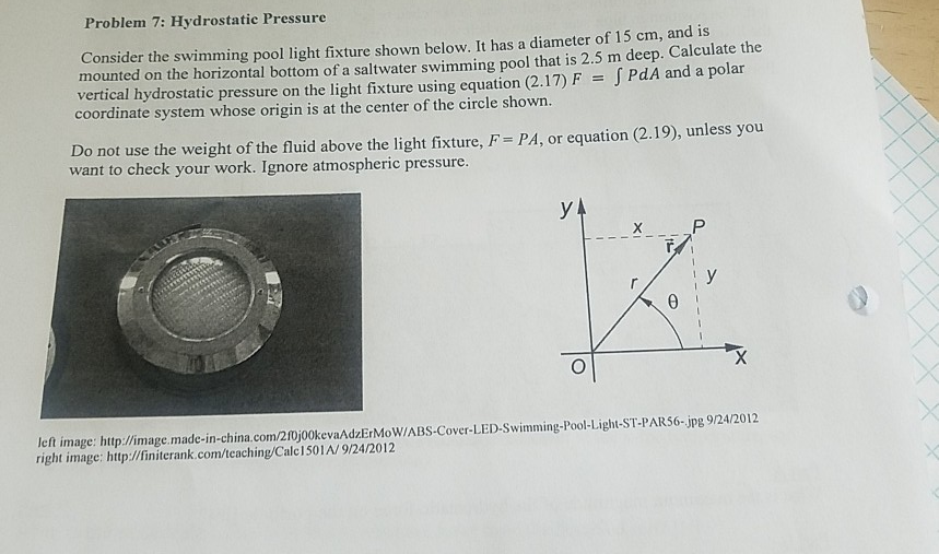 Solved Problem 7: Hydrostatic Pressure Consider the swimming | Chegg.com