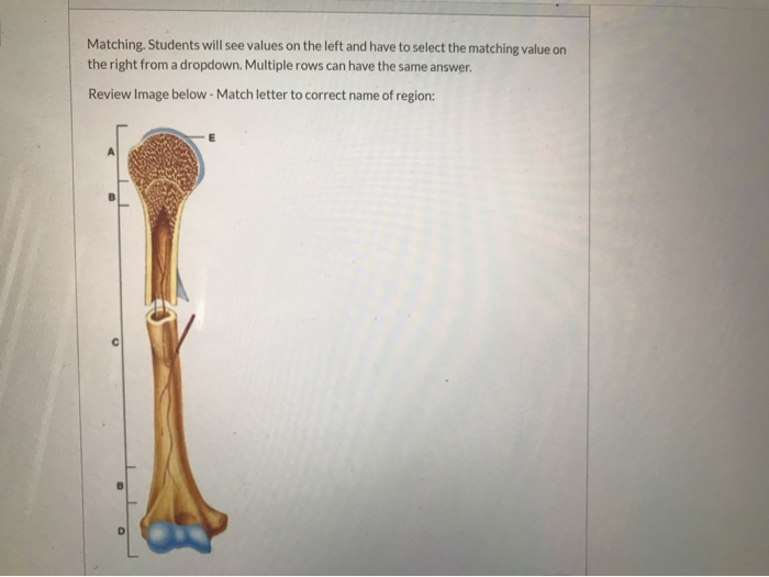 Solved Fill in the blank Name the highlighted structure of | Chegg.com