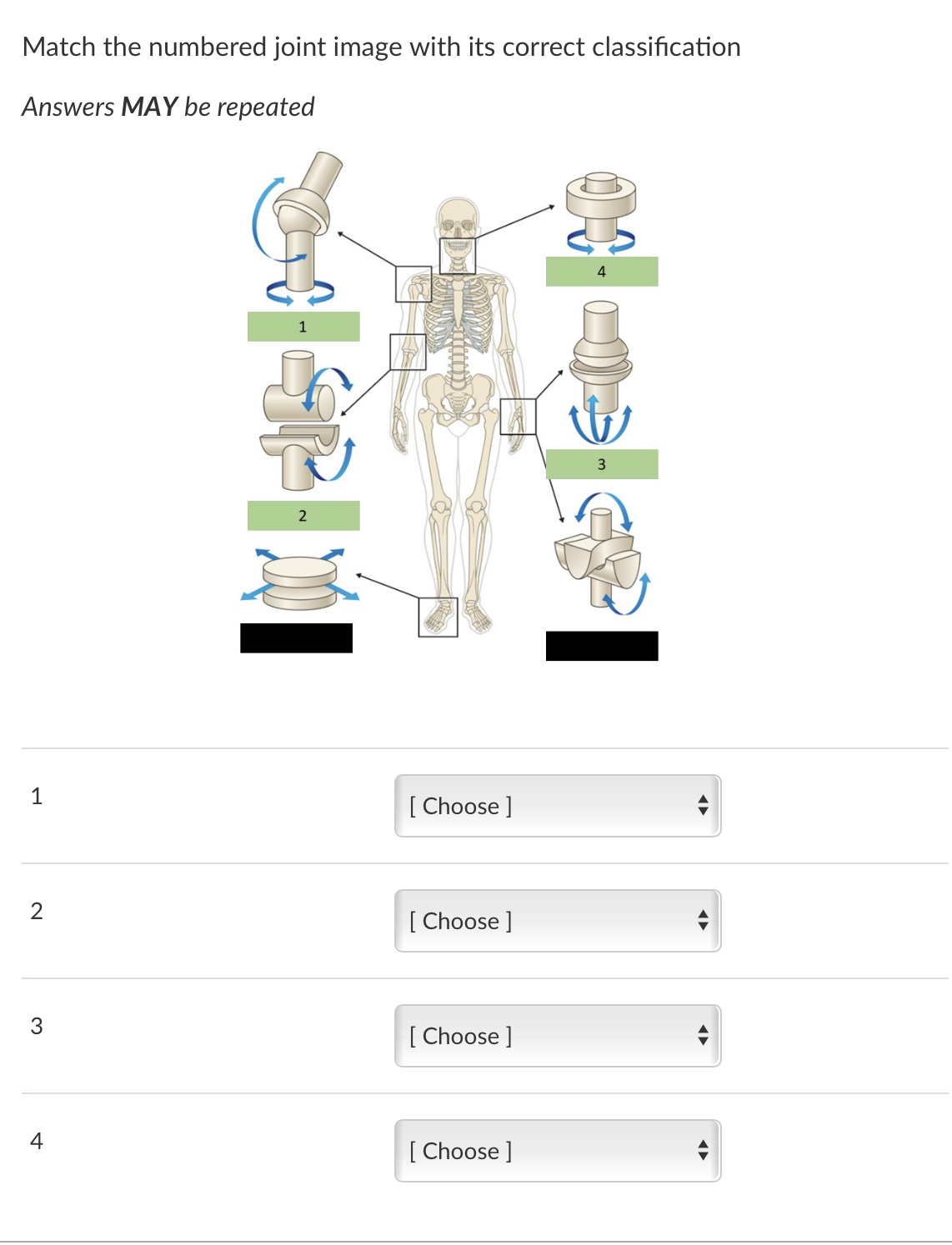 Solved Match the numbered joint image with its correct | Chegg.com