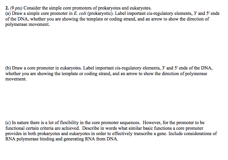 Solved 2. (9 pts) Consider the simple core promoters of | Chegg.com