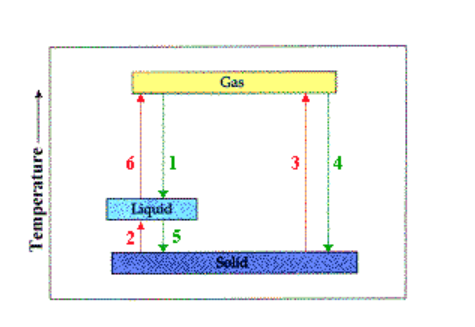 Solved On the figure shown above the six possible phase | Chegg.com