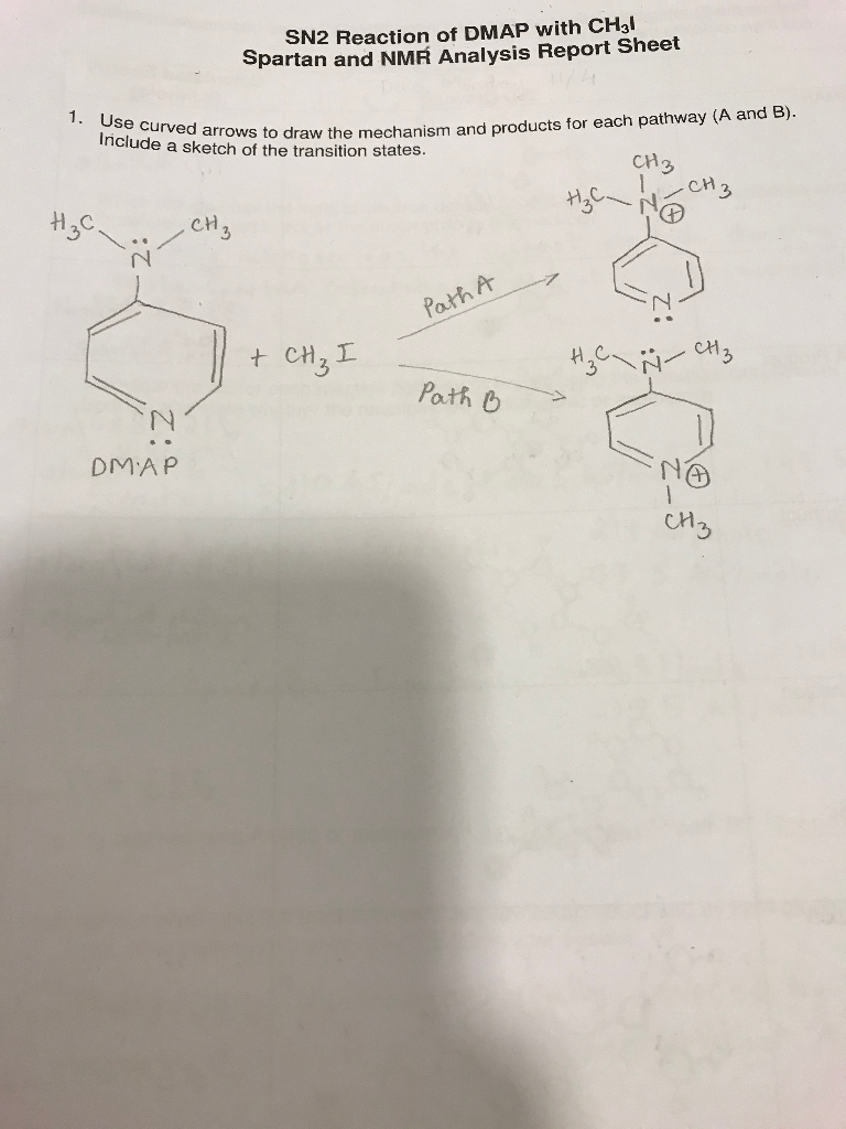 Solved SN2 Reaction of DMAP with CH31 Spartan and NMR | Chegg.com