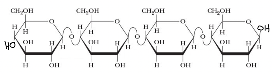 Solved is this polymer sucrose? are any of the following | Chegg.com