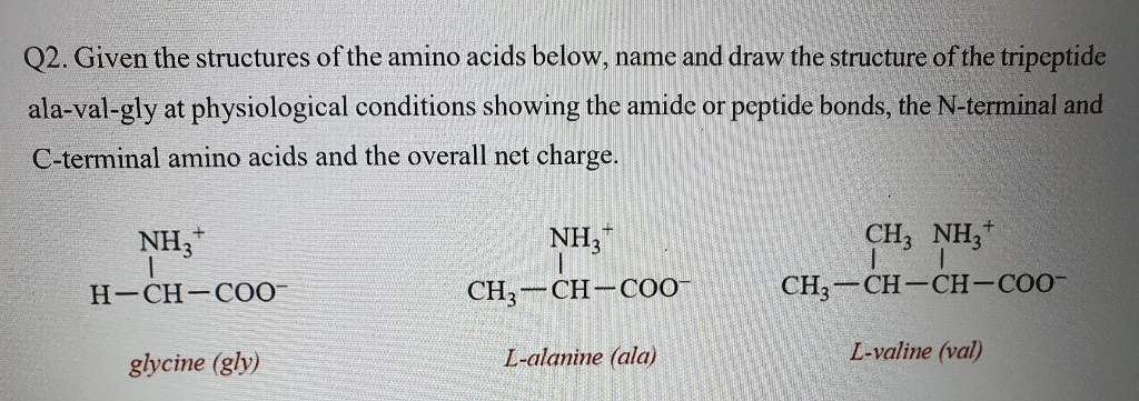 Solved Q2. Given the structures of the amino acids below, | Chegg.com