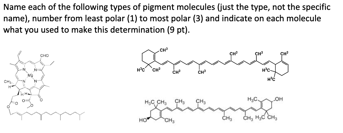 Solved Name each of the following types of pigment molecules | Chegg.com