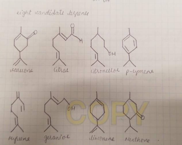 Solved which of the above 8 terpenes does the IR spectrum | Chegg.com