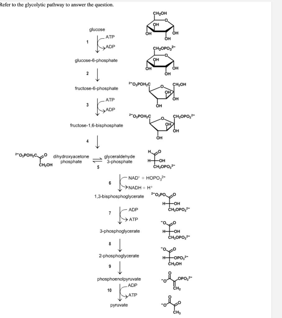 Solved RϵIdentify the oxidation-reduction reactions of | Chegg.com