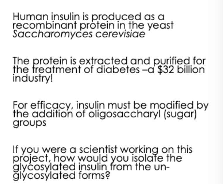 Solved Human insulin is prodụced as a recombinant protein in | Chegg.com