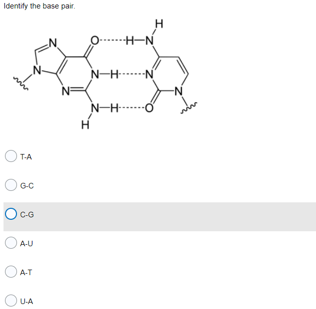 Solved Identify the base pair H H-N N N-H -N NE 'N N-H H T-A | Chegg.com