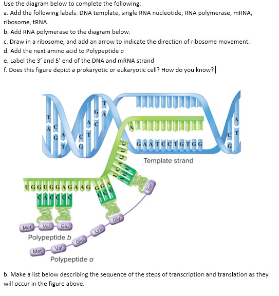Solved Use the diagram below to complete the following: a. | Chegg.com