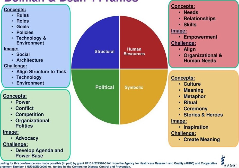 Solved Organizational Dynamics Situation Description As the | Chegg.com