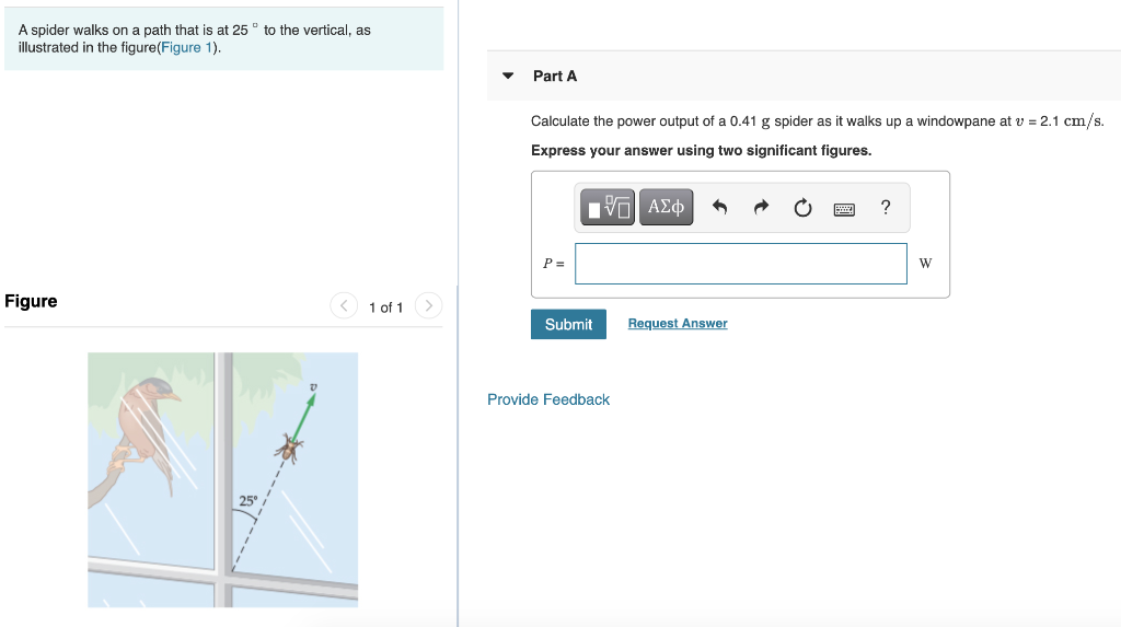 Solved A spider walks on a path that is at 25° to the | Chegg.com