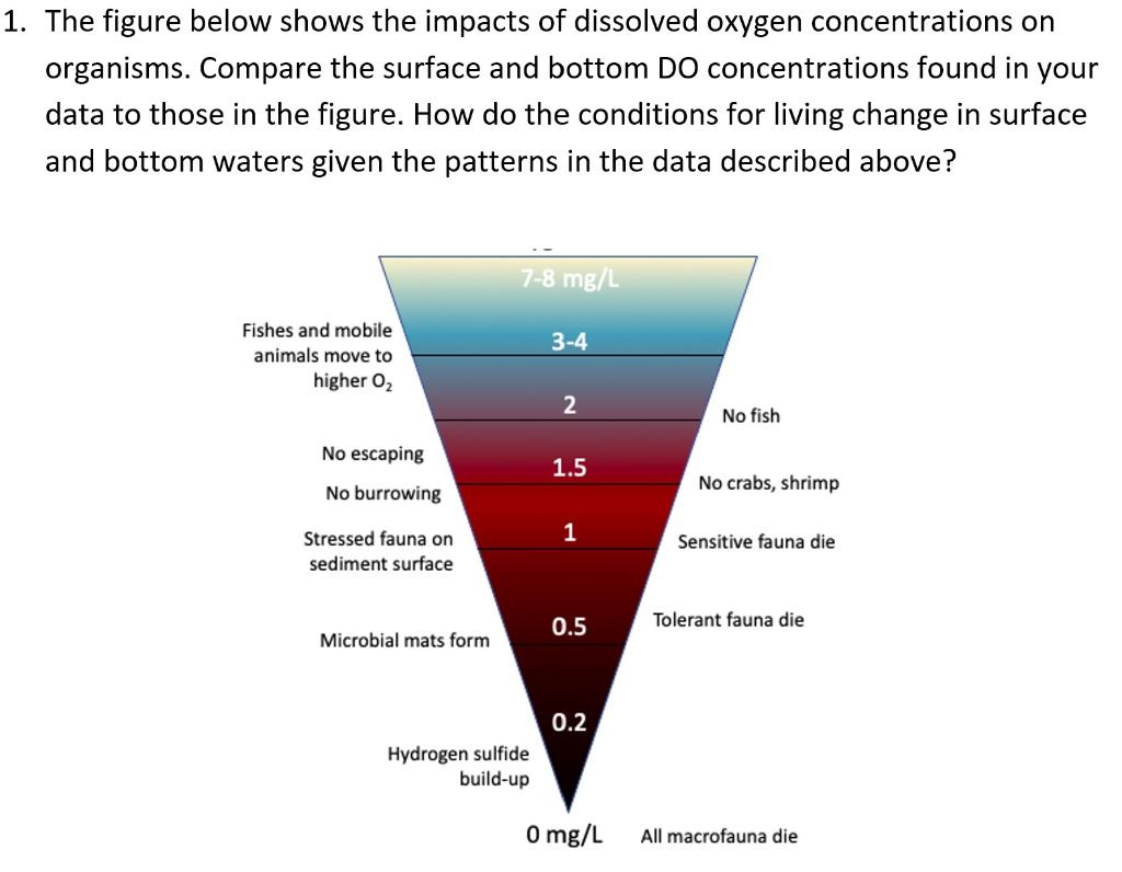 Solved The figure below shows the impacts of dissolved | Chegg.com