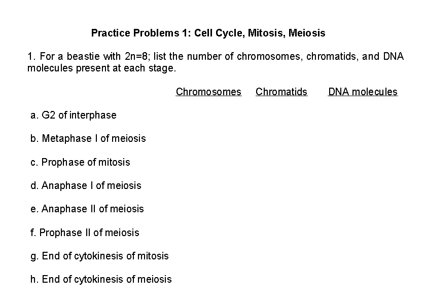 Solved Practice Problems 1: Cell Cycle, Mitosis, Meiosis 1. | Chegg.com
