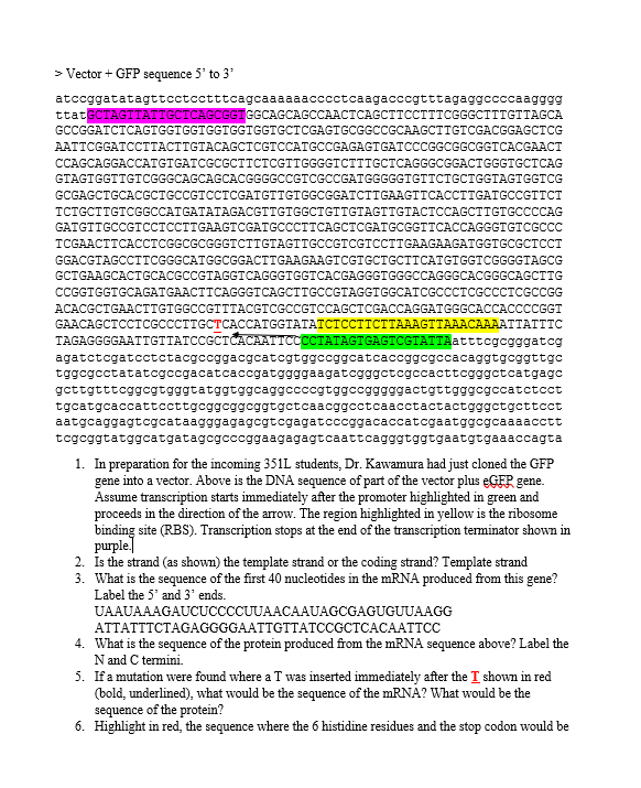 > Vector + GFP sequence 5 to 3 | Chegg.com