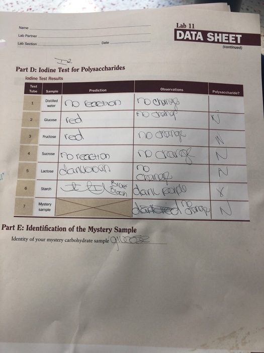 Lab 11 Name Lab Partner Lab Section DATA SHEET | Chegg.com