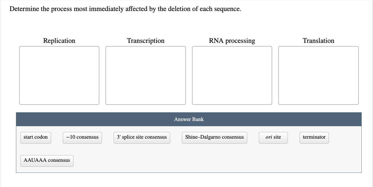 Solved Determine the process most immediately affected by | Chegg.com