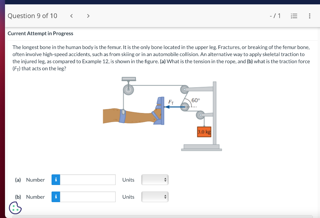 Solved The longest bone in the human body is the femur. It | Chegg.com