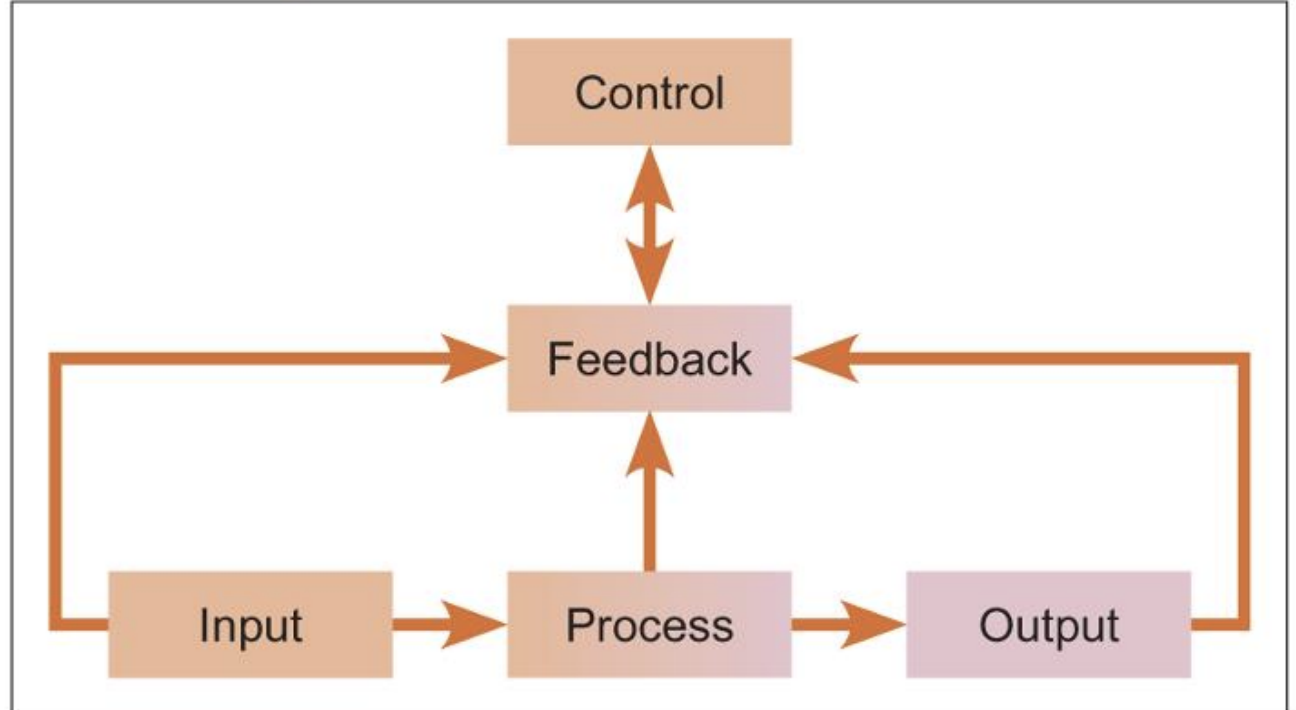 Solved Work Systems Defined“A work system is a system in | Chegg.com