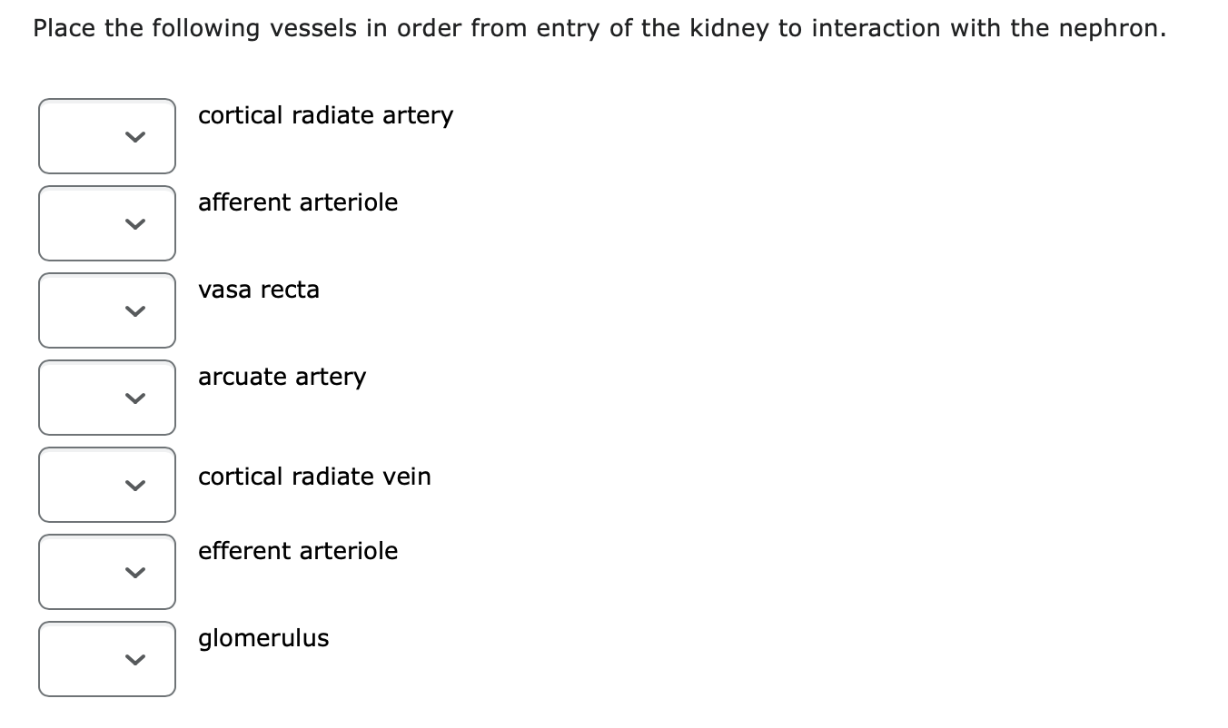 Solved Place the following vessels in order from entry of | Chegg.com