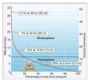 Solved What relationship does this graph show between | Chegg.com