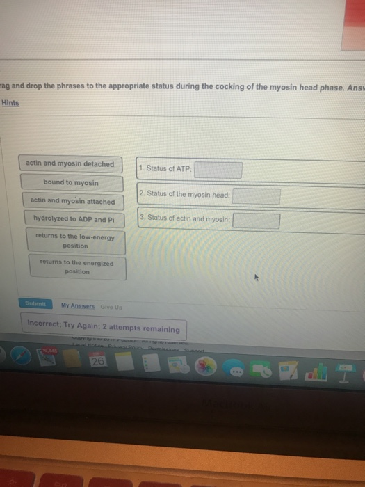 Solved ag and drop the phrases to the appropriate status | Chegg.com