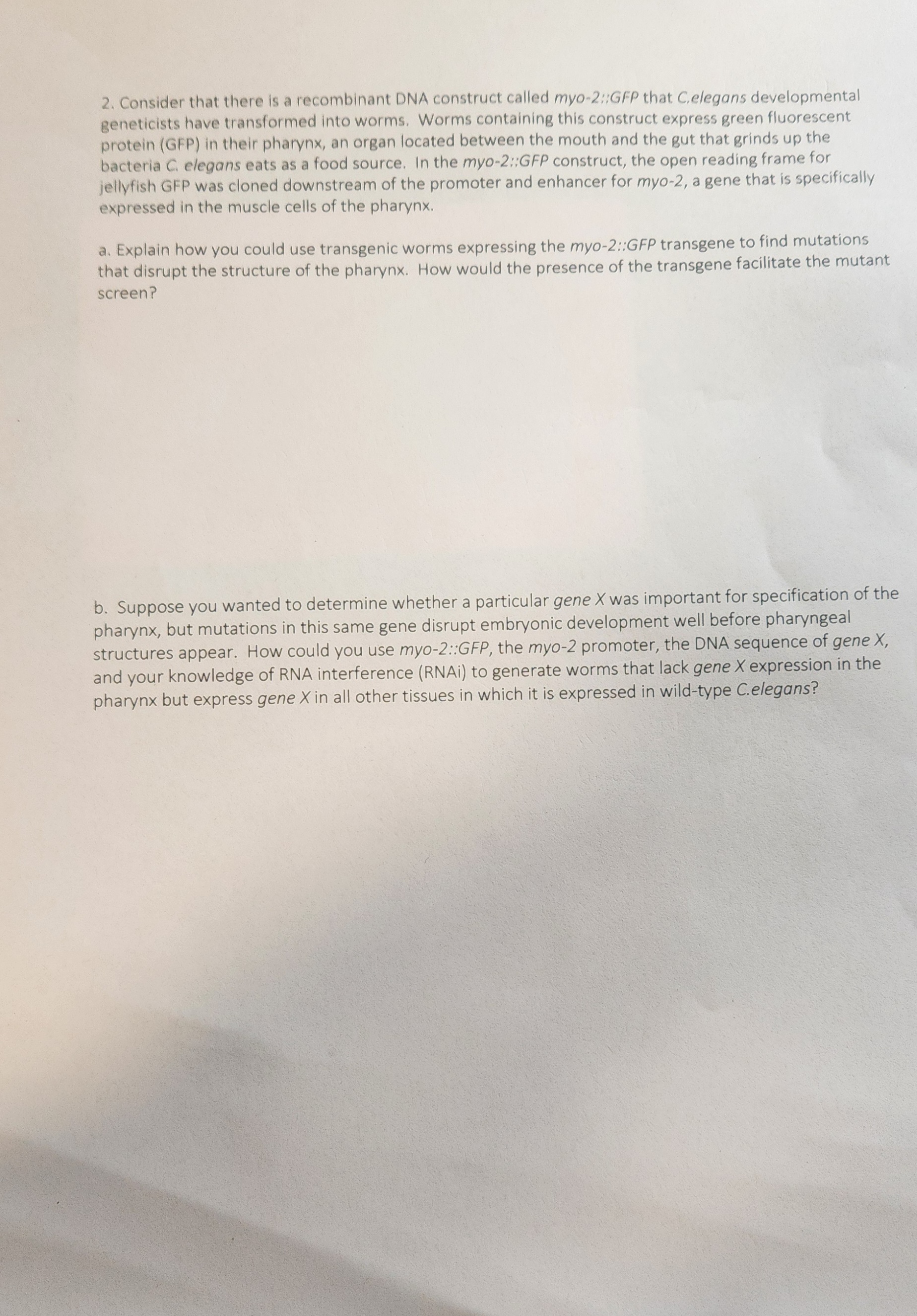 Solved Consider that there is a recombinant DNA construct | Chegg.com