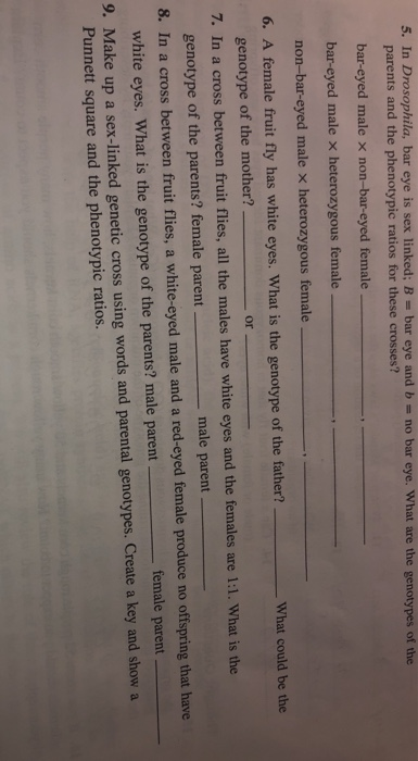 Solved 5. In Drosophila, bar eye is sex linked; B-bar eye | Chegg.com