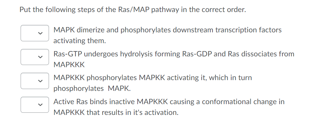 Solved Put the following steps of the Ras/MAP pathway in the | Chegg.com