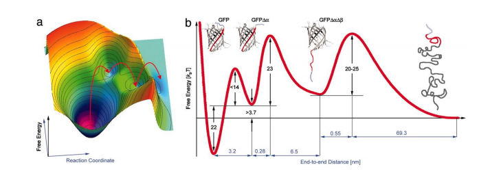 Solved The potential energy diagram below is in fact a | Chegg.com
