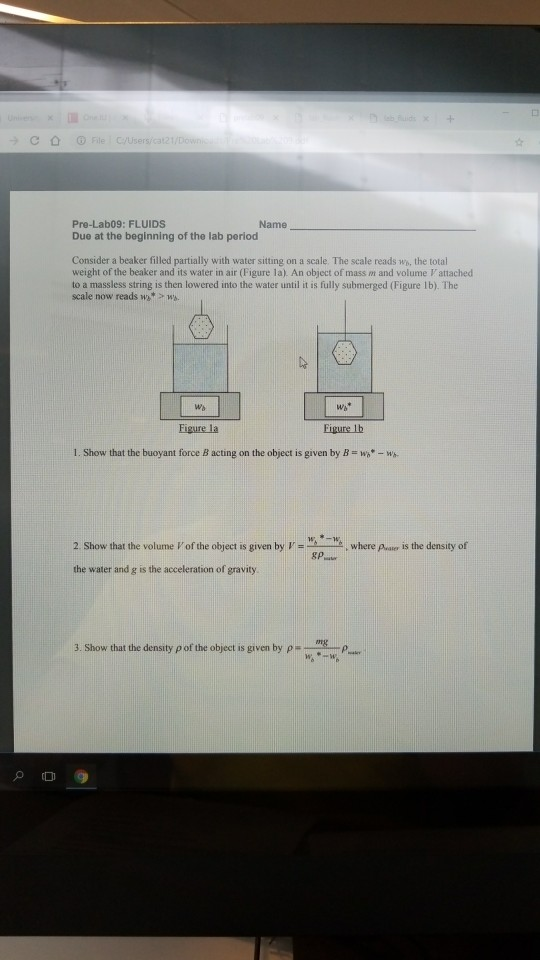 Solved C File:C/Users/cat21/Down Pre-Lab09: FLUIDS Due at | Chegg.com
