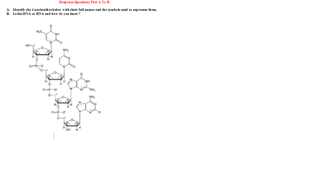 Solved Response Questions Part A To B A. B. Identify the 4 | Chegg.com