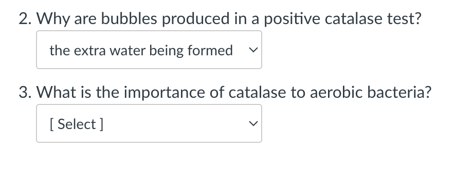 Solved 2. Why are bubbles produced in a positive catalase | Chegg.com