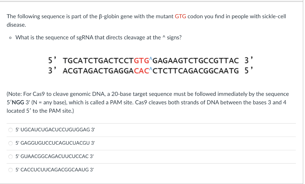 Solved The following sequence is part of the β-globin gene | Chegg.com