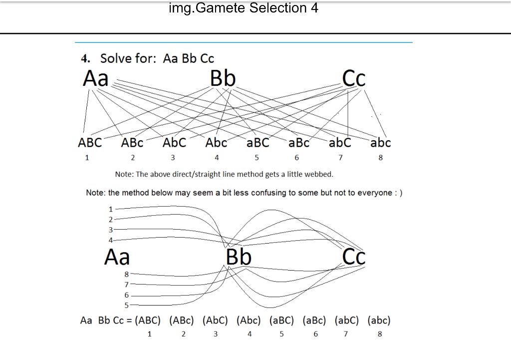 Solved img. Gamete Selection 1 Given: The parent cell has | Chegg.com