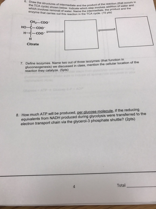Solved Draw the structures of intermediate and the product | Chegg.com